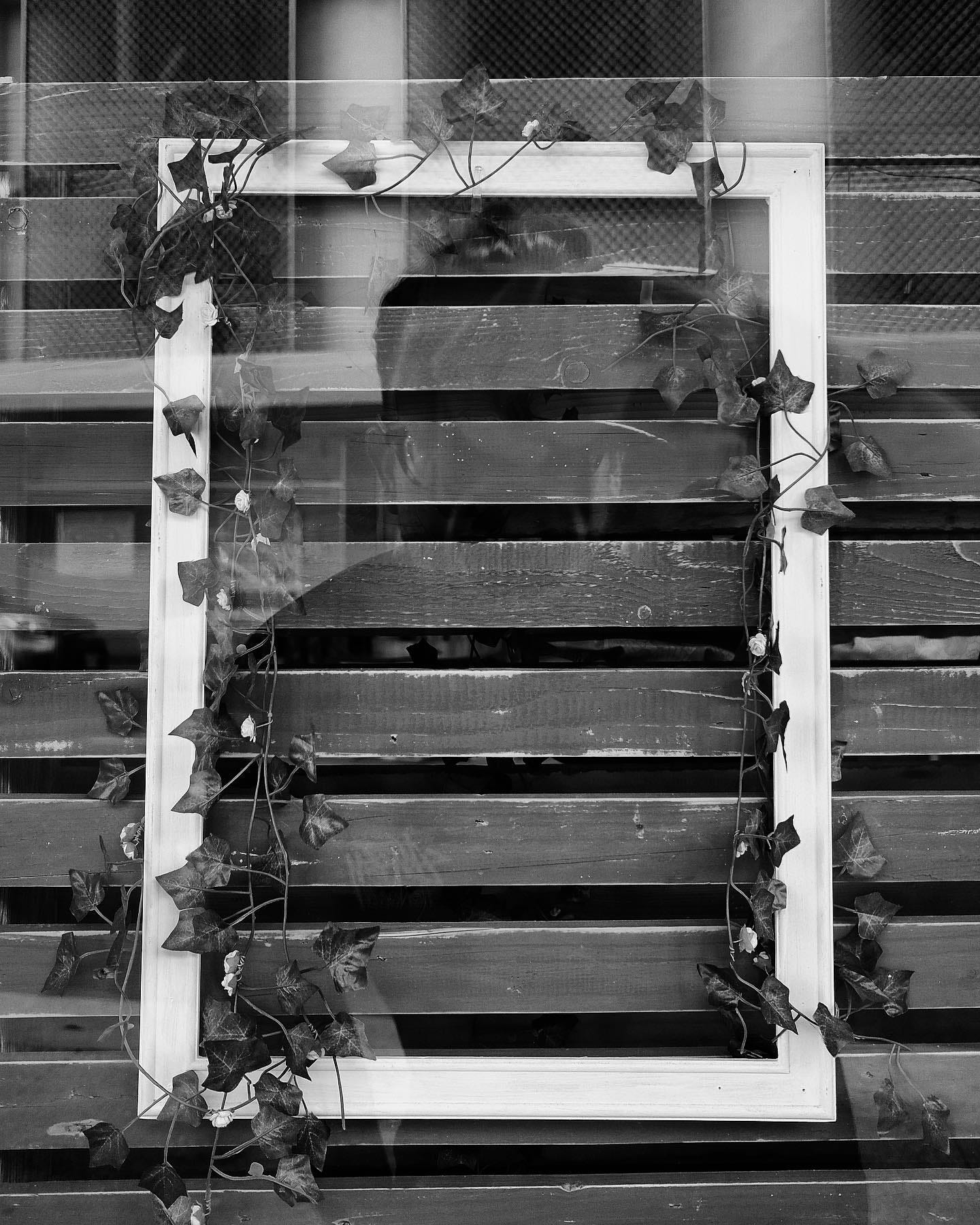Mirrors, Shadows, Reflections - by Jason