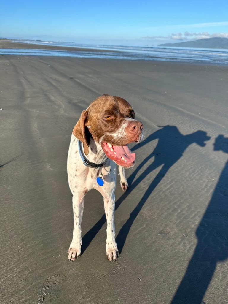 Transformation - by Bevan Holloway