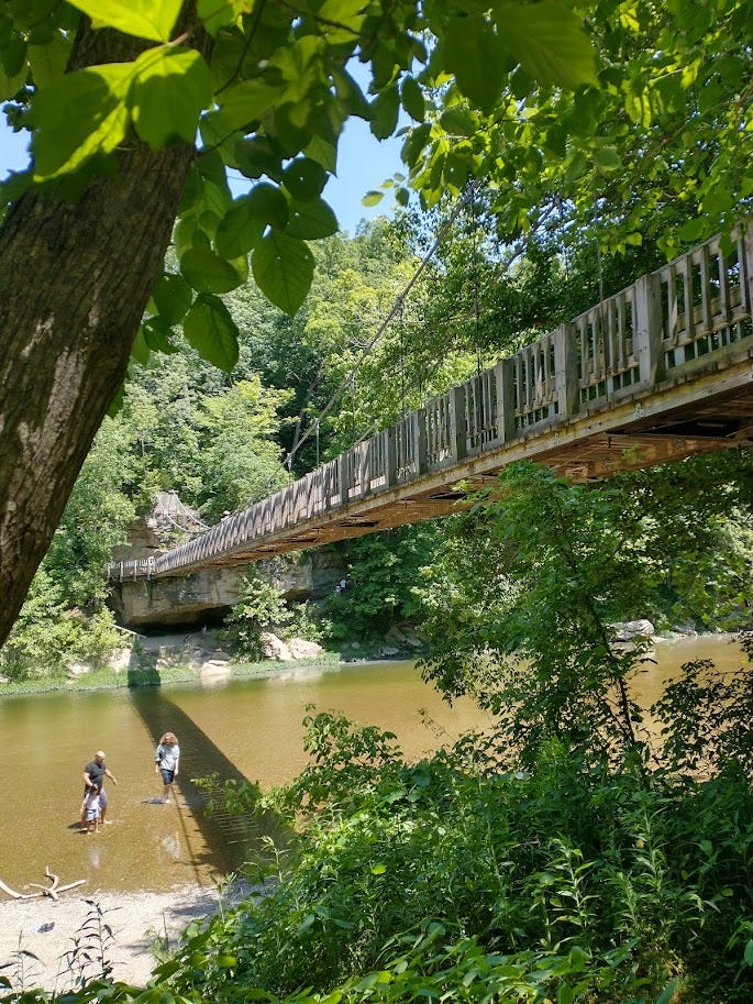 Discovering Turkey Run State Park