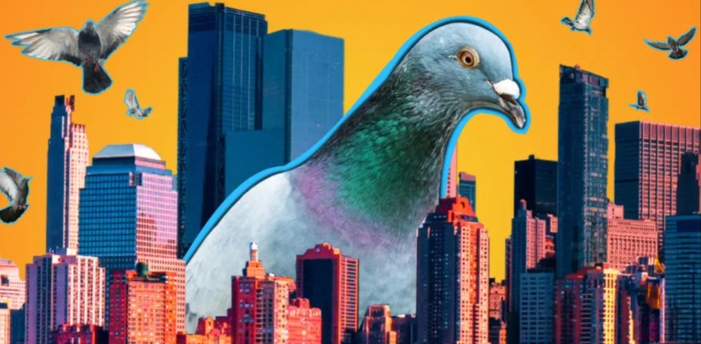 BREAKING: Second Potential CCP Aerial Threat Detected In U.S. Airspace