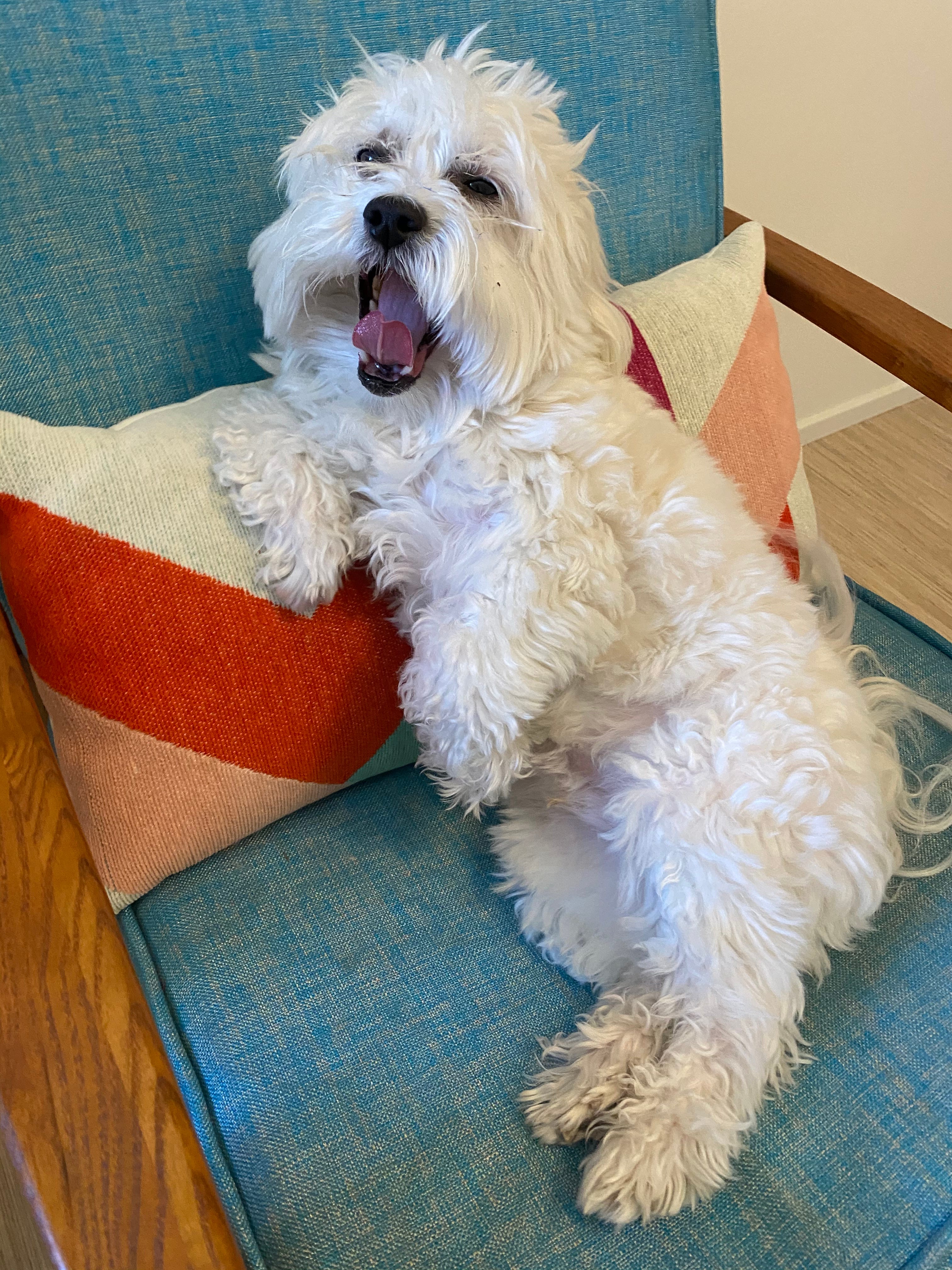 A true story about a Lyft driver - by Michael Estrin