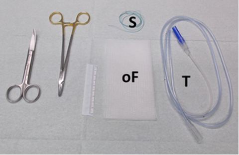Advances in Endoscopic Vacuum Therapy: A World of Possibilities