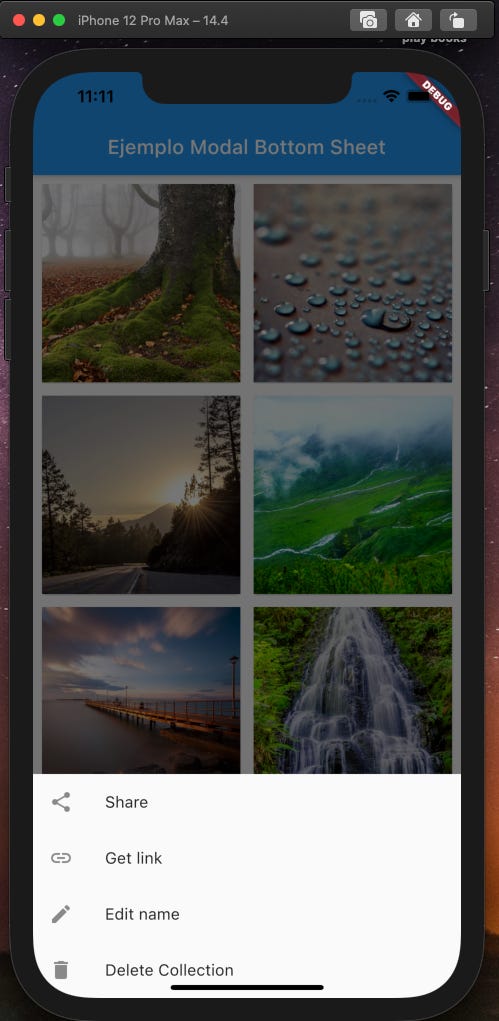 Como crear un Modal Bottom Sheet en Flutter