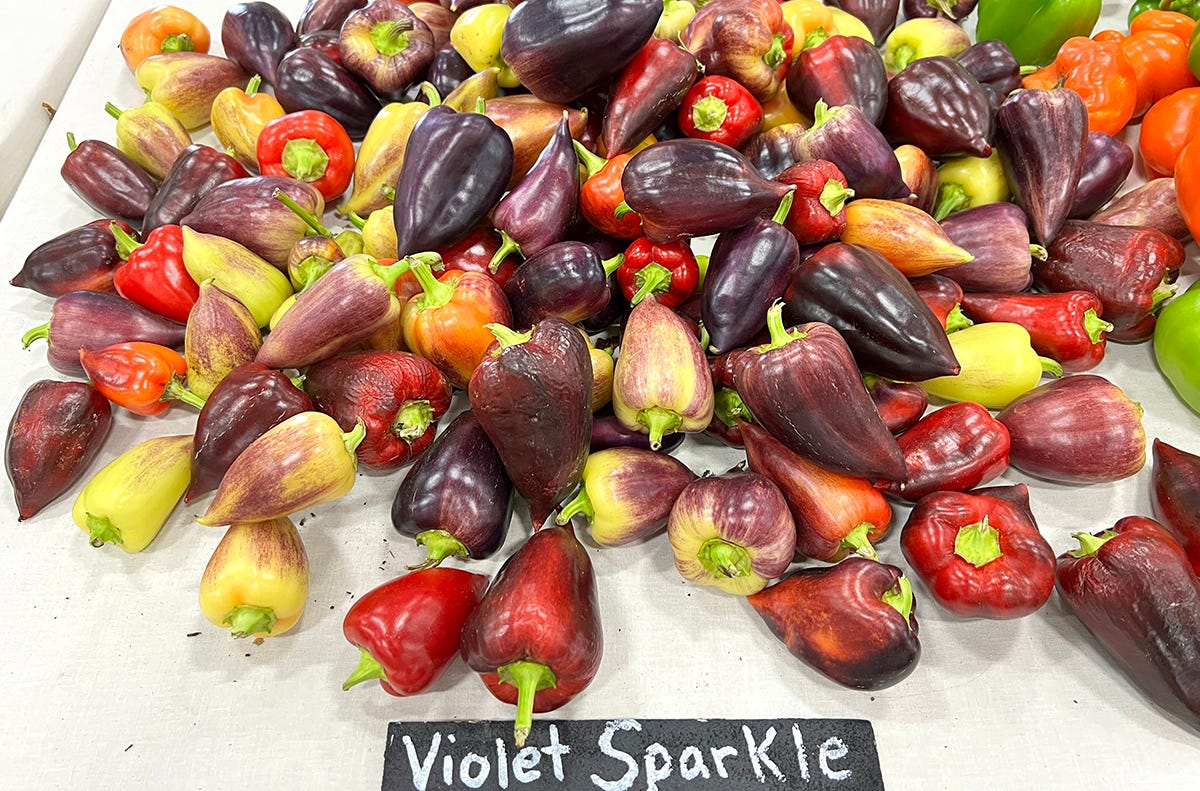 Seeds and More - by Krista Harris - Edible Santa Barbara