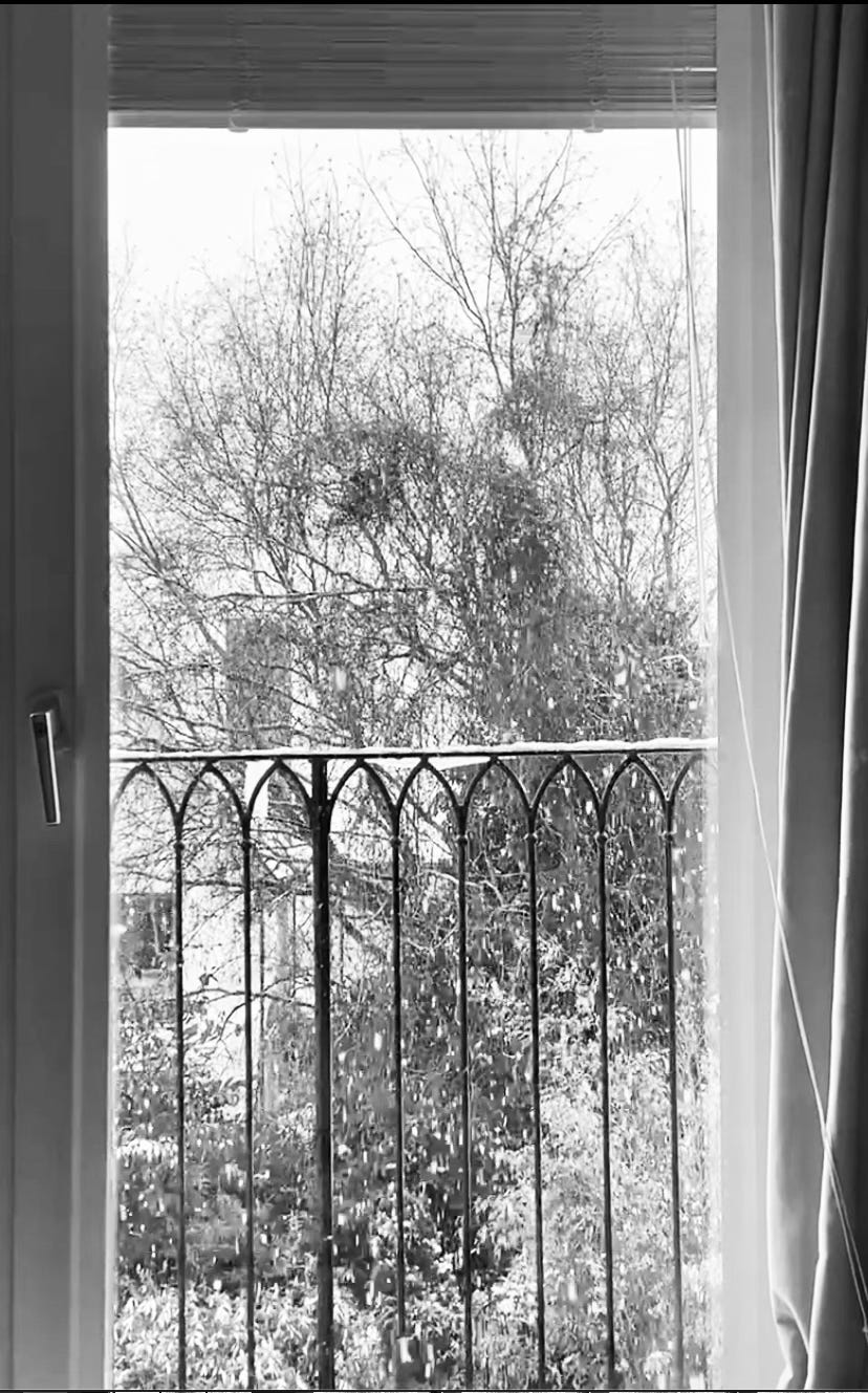 what lets the light in? - by Nina Tree - Nina’s Substack