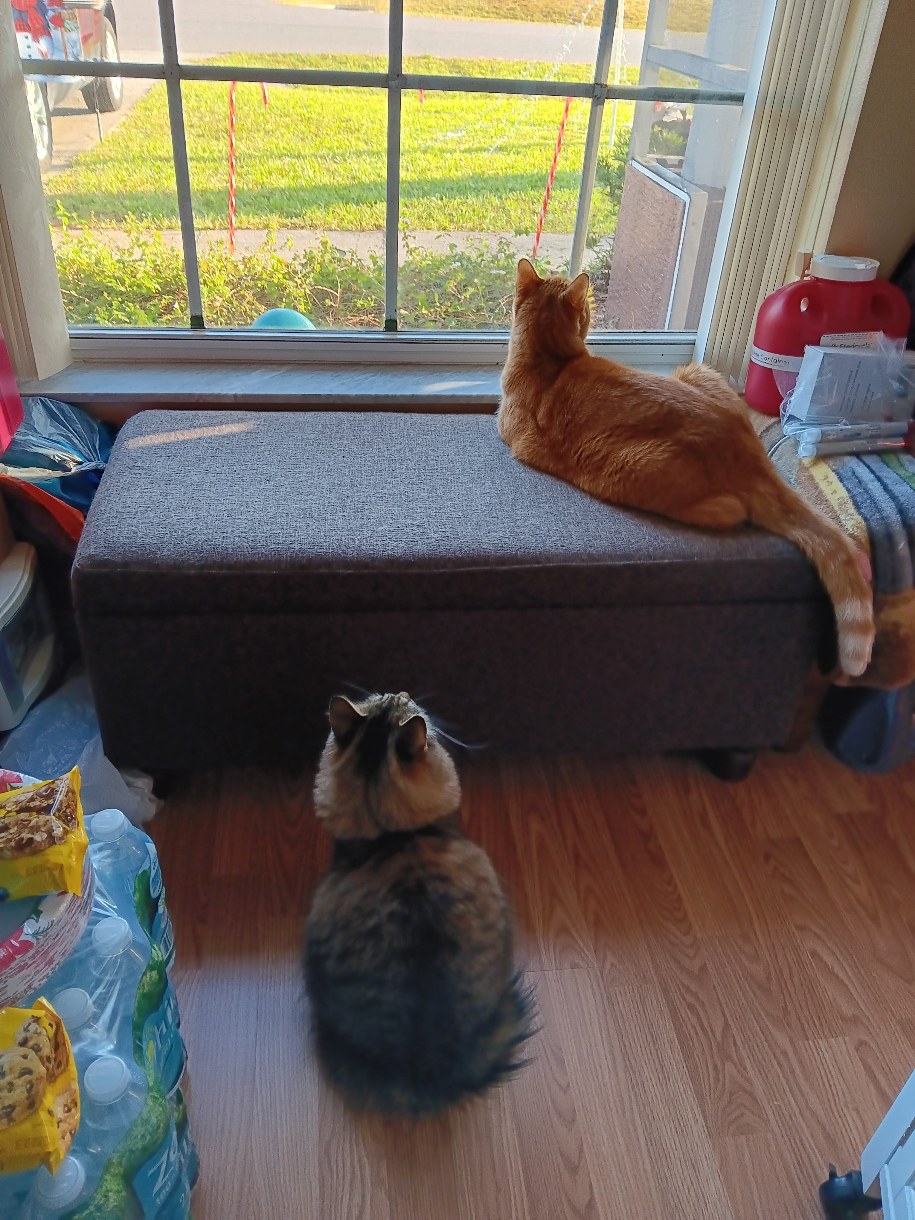 The Day With Dukee And Mia - by Pennie R. S. Nelson