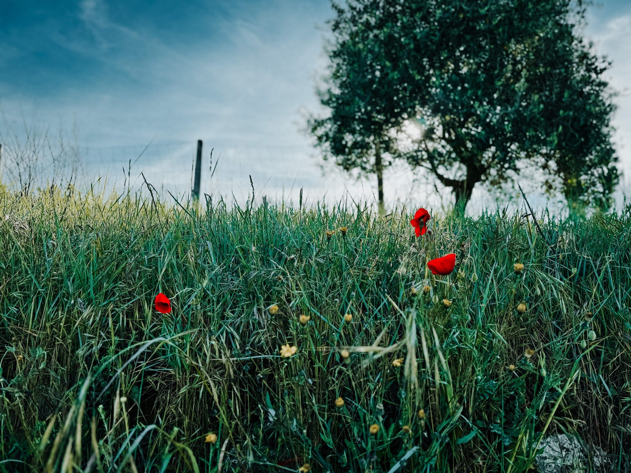 The Bathtub Formula for Optimal Health - by Eric Ho