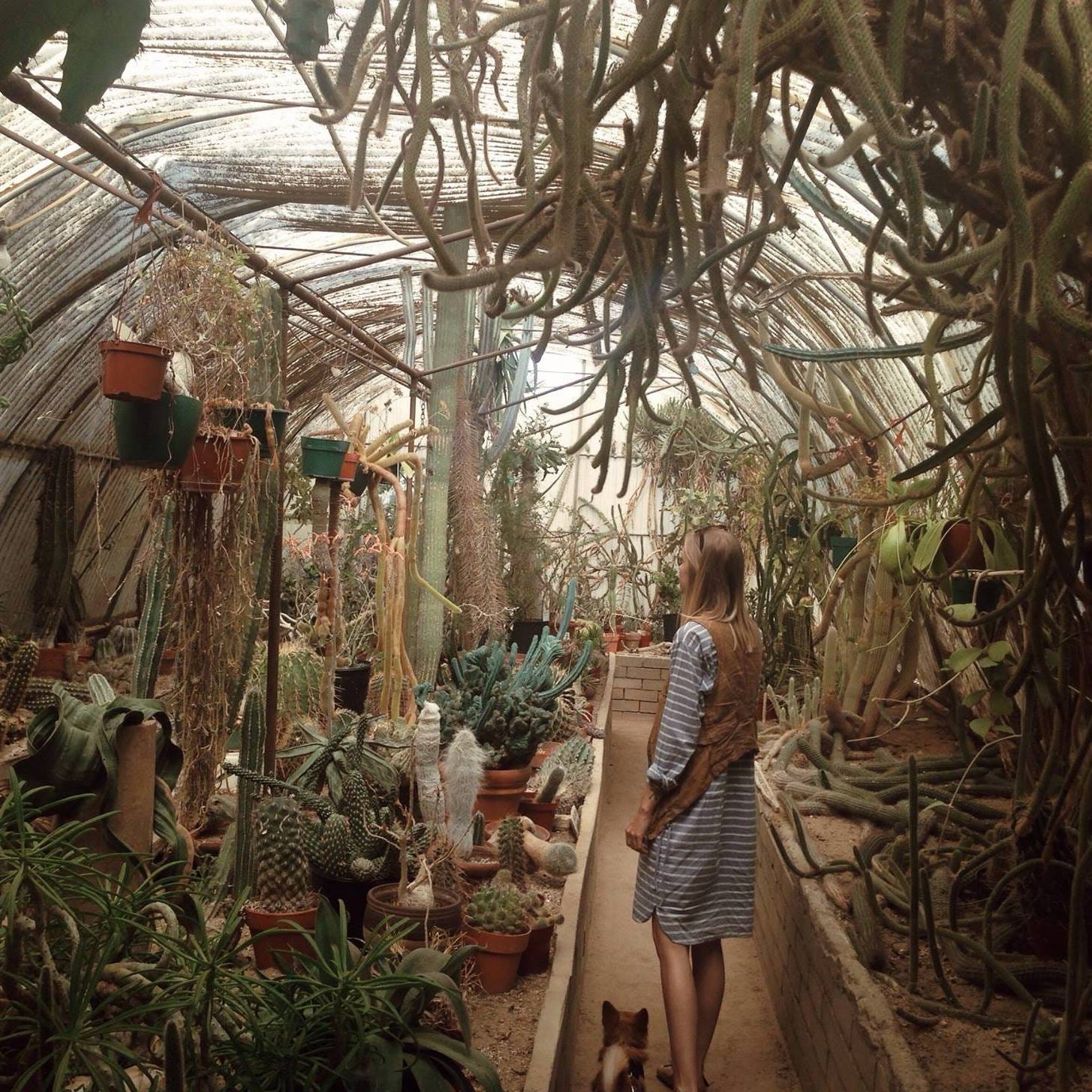 Lets start here - by Marika J - Marika’s Substack