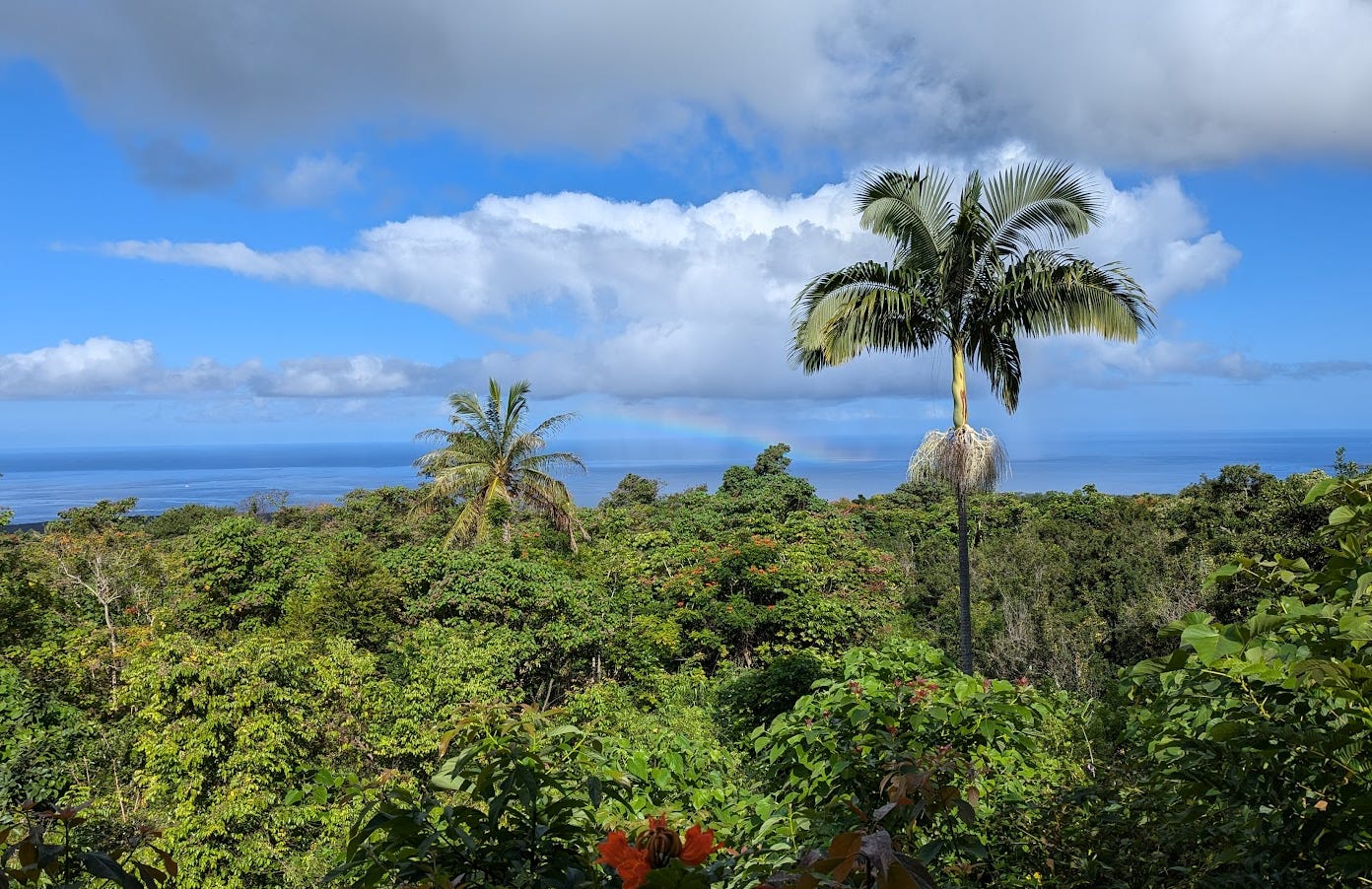 We've moved! - Sakamoto Substack