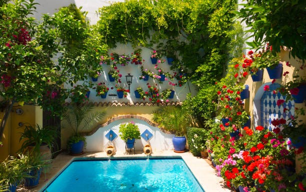 Festival of the Courtyards of Cordoba - Food and Fiesta