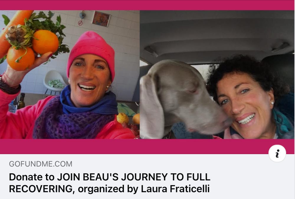 JOIN BEAU'S JOURNEY TO FULL RECOVERING