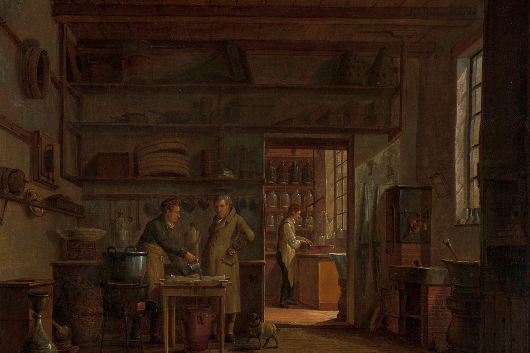 The Must-Have Herbs You Need in Your "Apocalypse" Medicine Cabinet