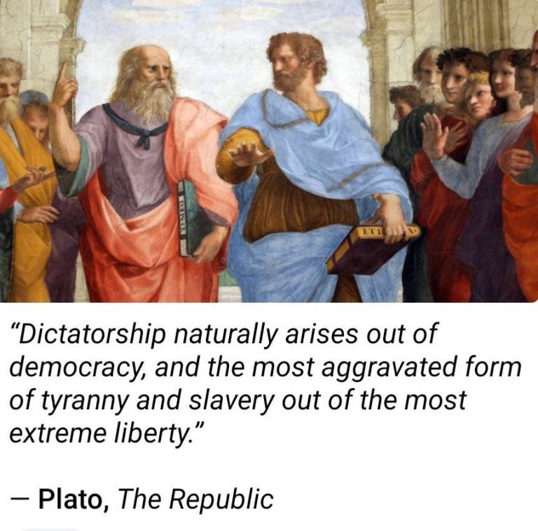 Ann Barnhardt - Edwin’s Newsletter #1