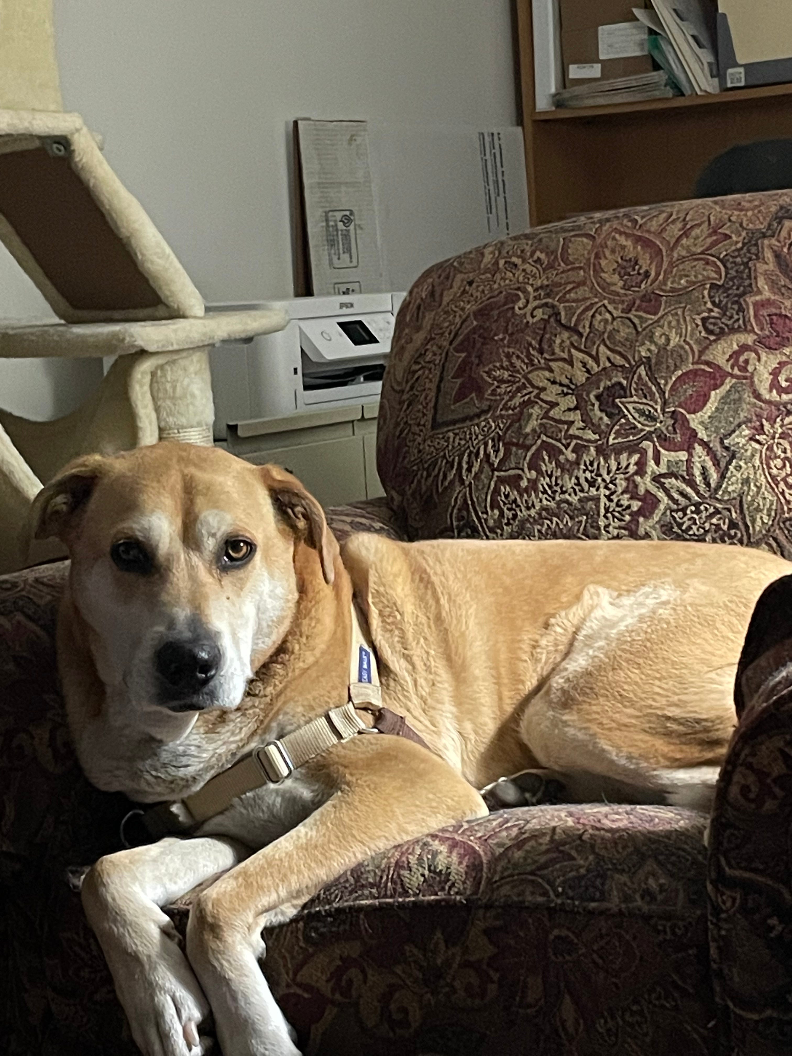 Itchy Feet - by LaVonne Ellis - Dream Chaser