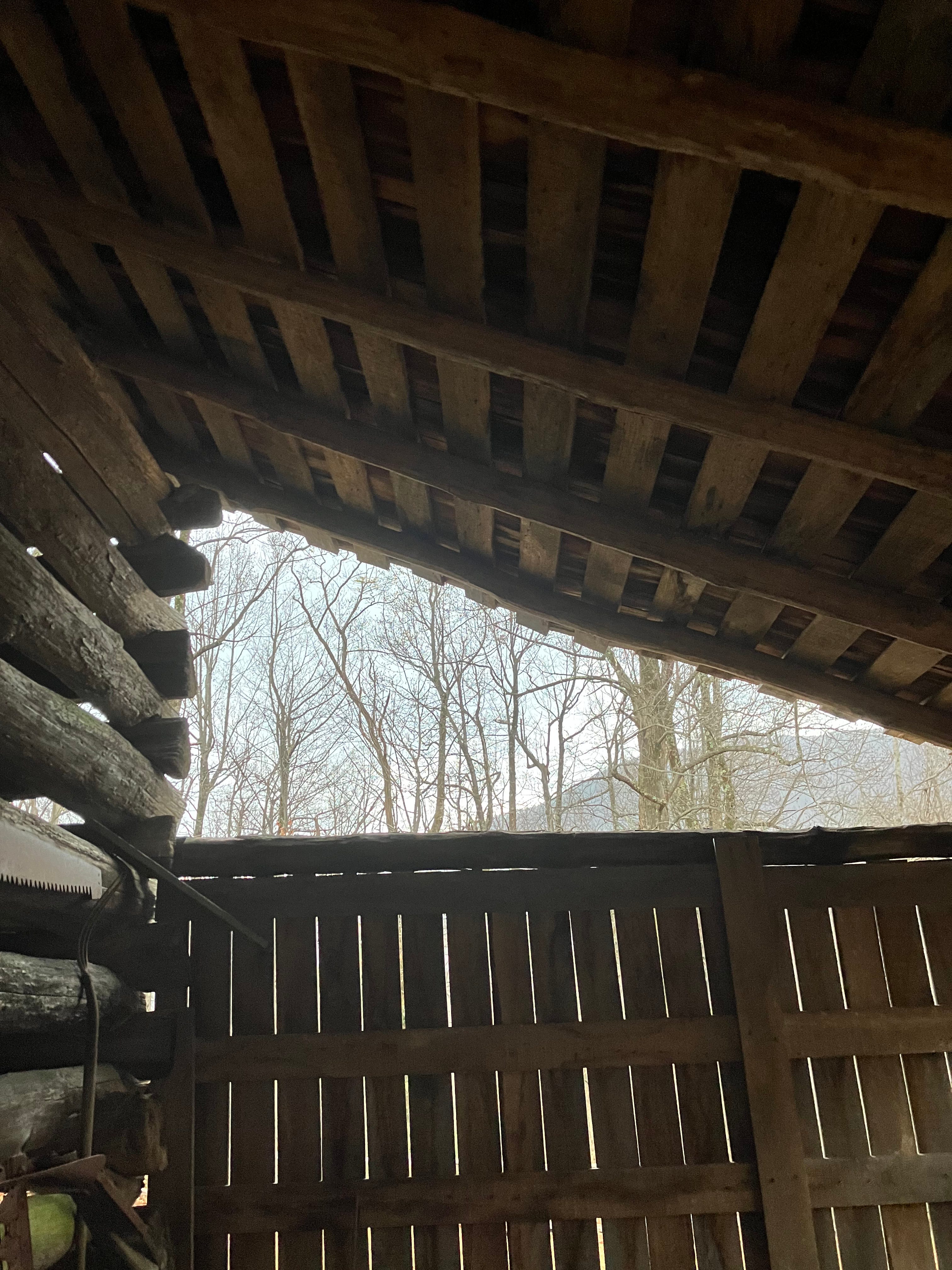 Someday - by James Clark - Wonderneath