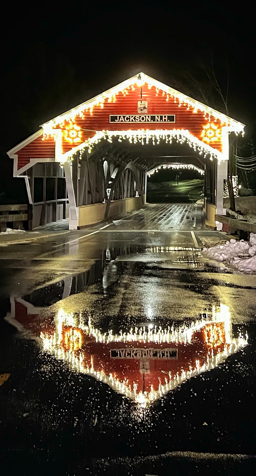 Holiday Greeting Cards - Tom Ryan, Author