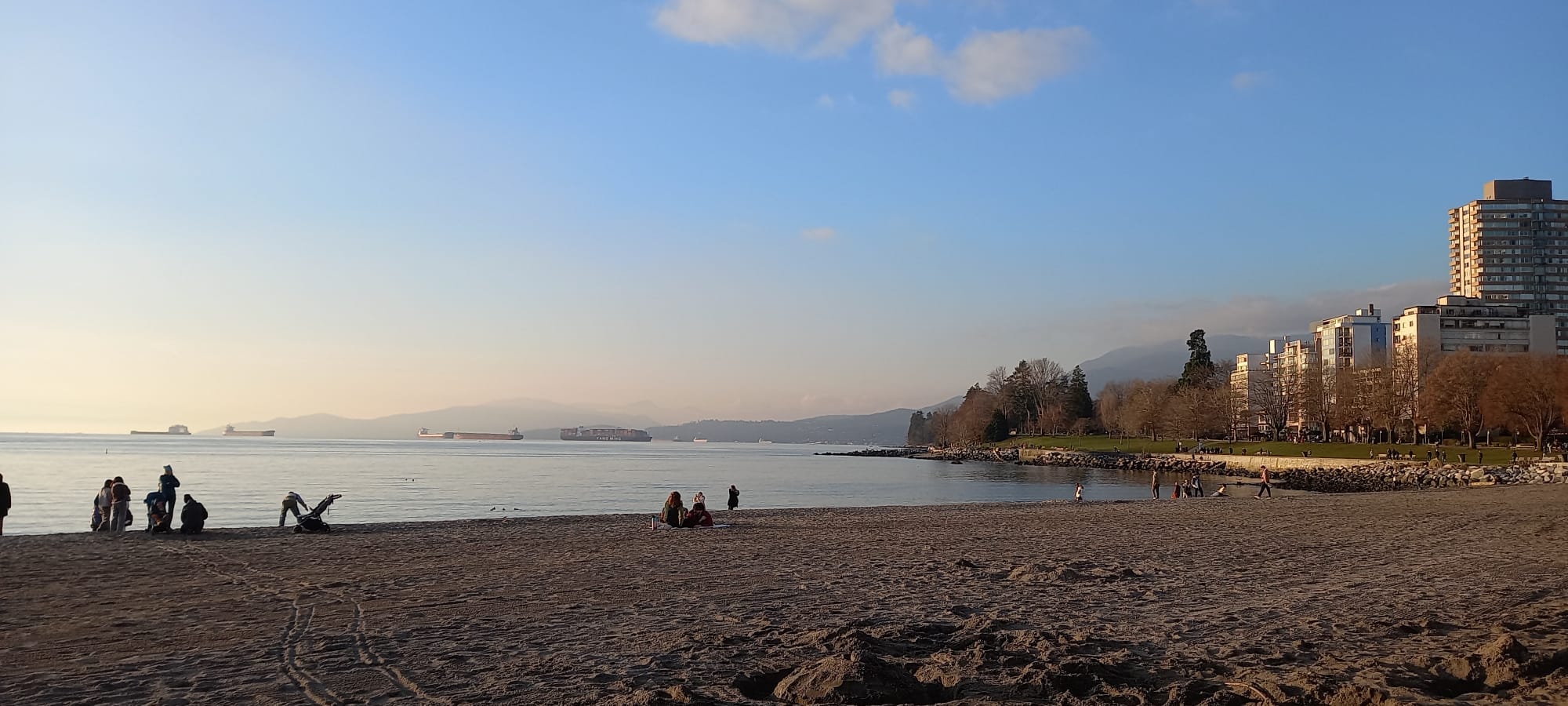 2024 recap: my year in random snapshots - by Maria Polansky