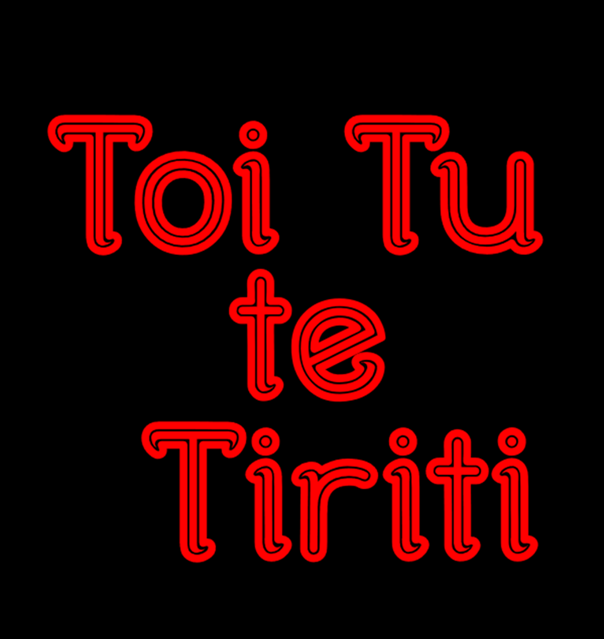 Te Tiriti Principles Submissions: Kererua Savage