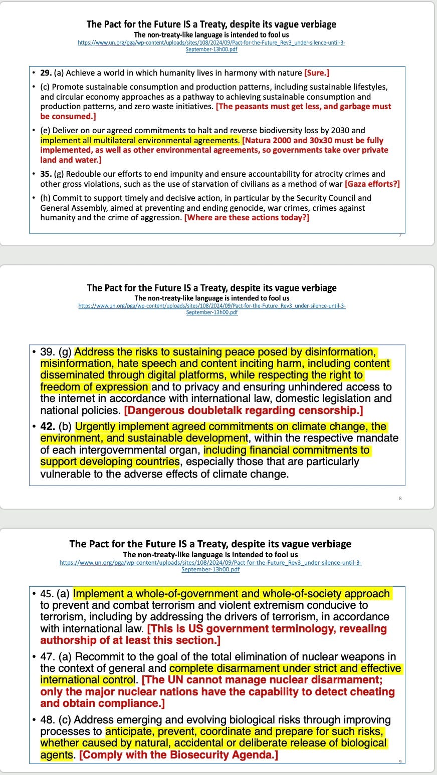37 statements from the Pact for the Future with my deconstruction, in ...