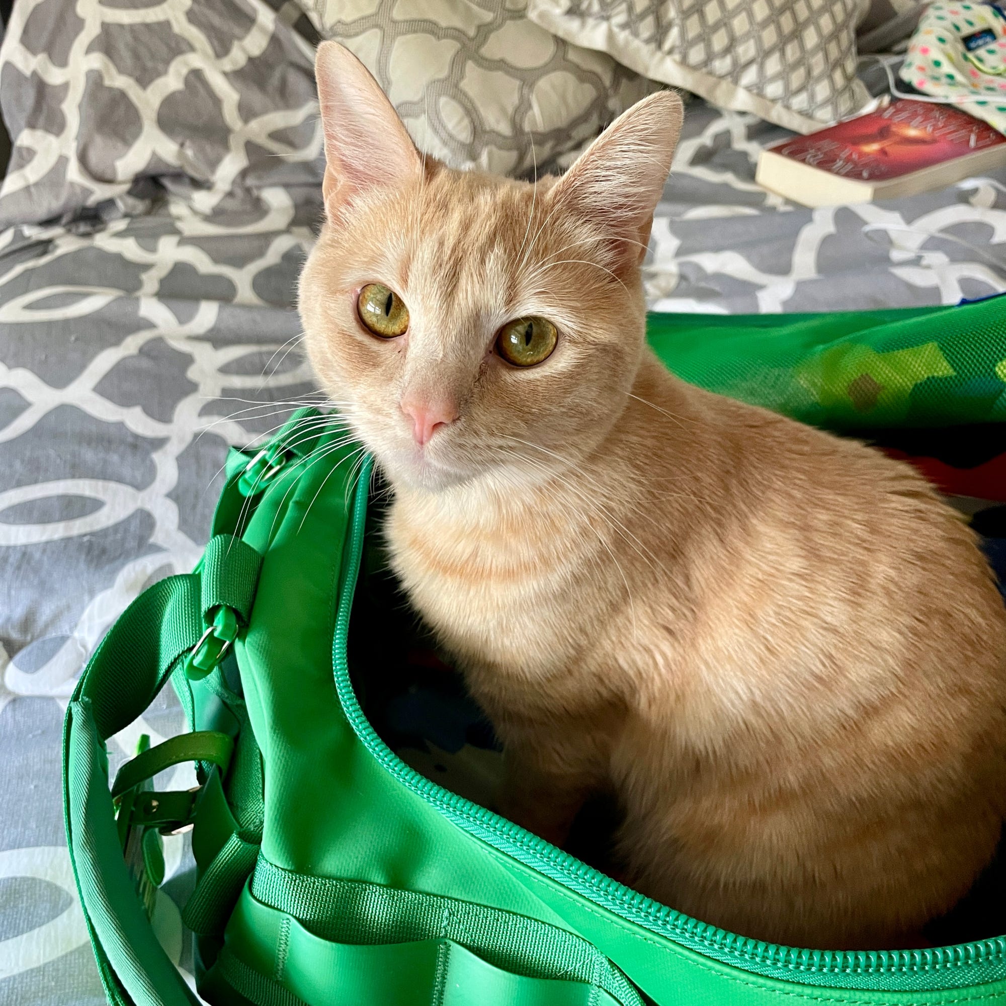 Travelogue:: Chasing the Eclipse in Jasper, Indiana