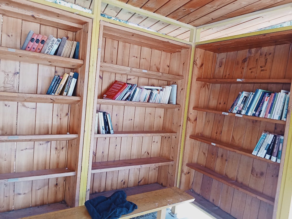 Empty Book Swap Shelves - by Adina Horwich