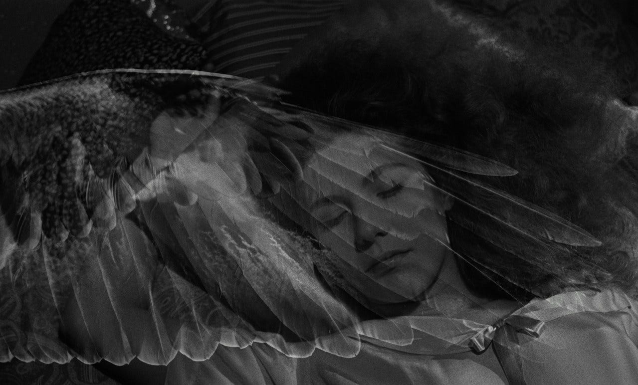 The Sovereignty of Man and Woman - The Druid Stares Back