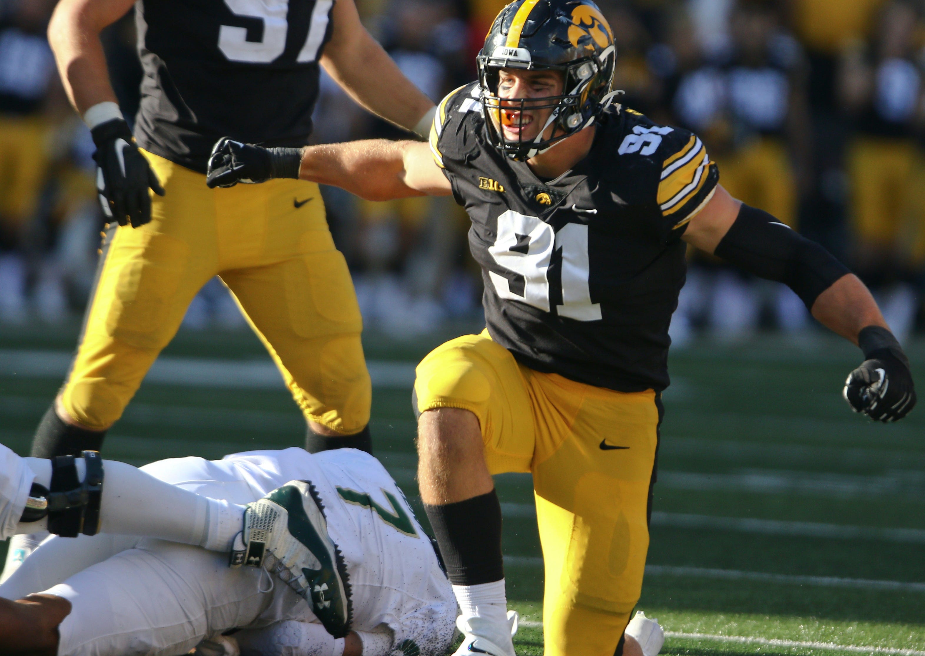 The mystery of Lukas Van Ness - by Bob McGinn - Go Long