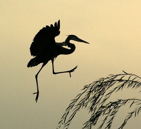 Philip Yabut | Substack