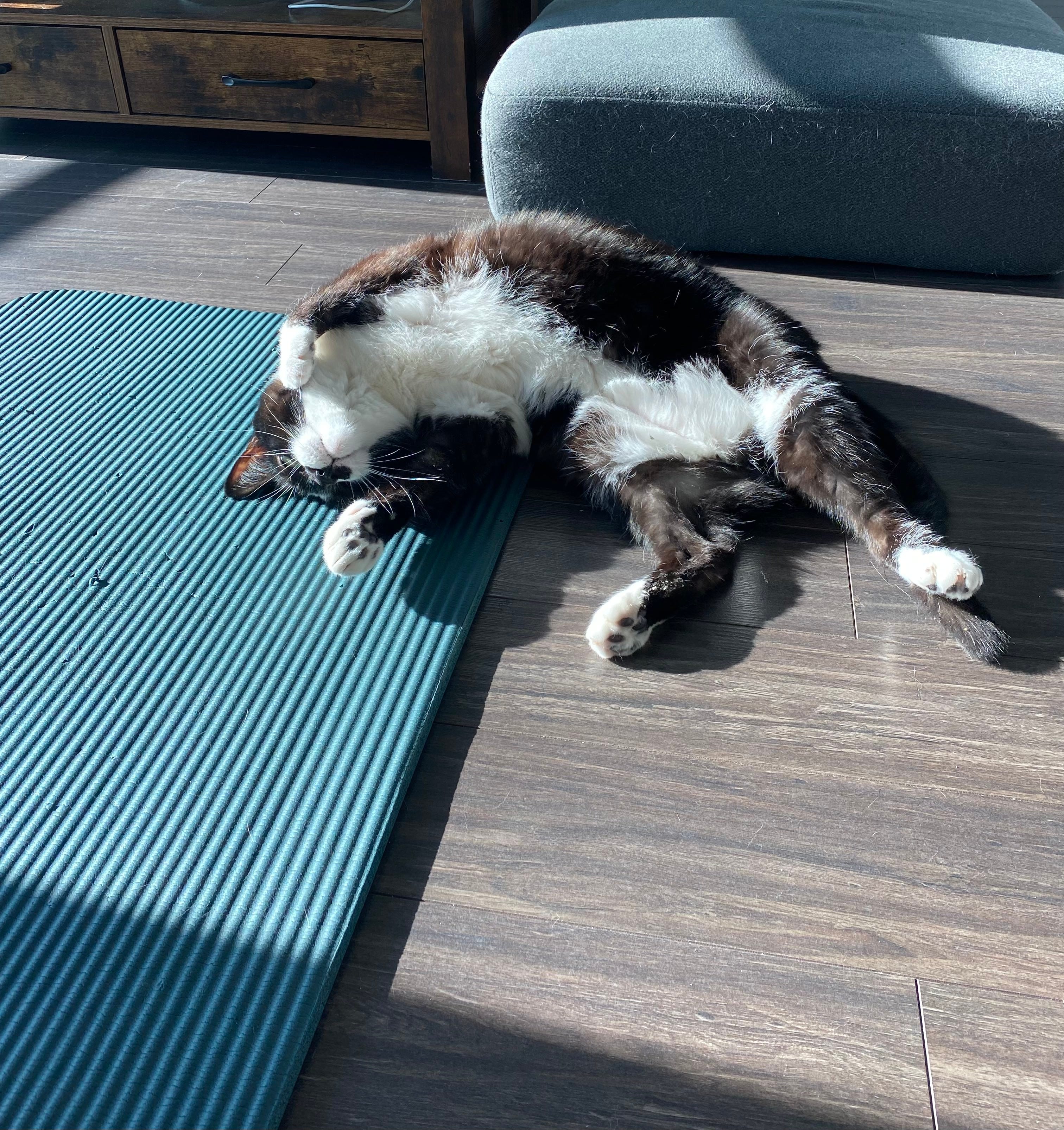 How did this city achieve Zero Waste success?