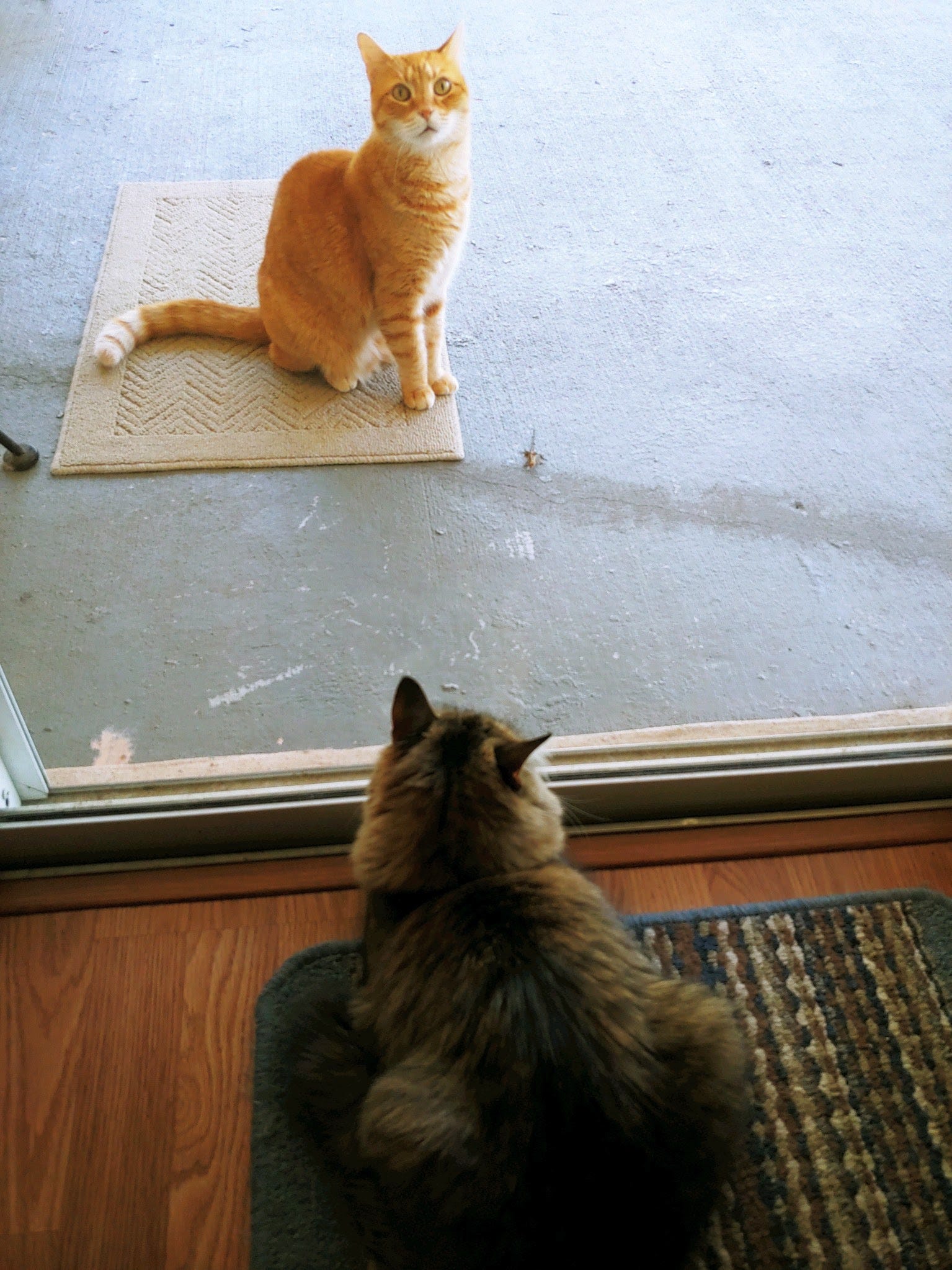 The Day With Dukee And Mia - by Pennie R. S. Nelson