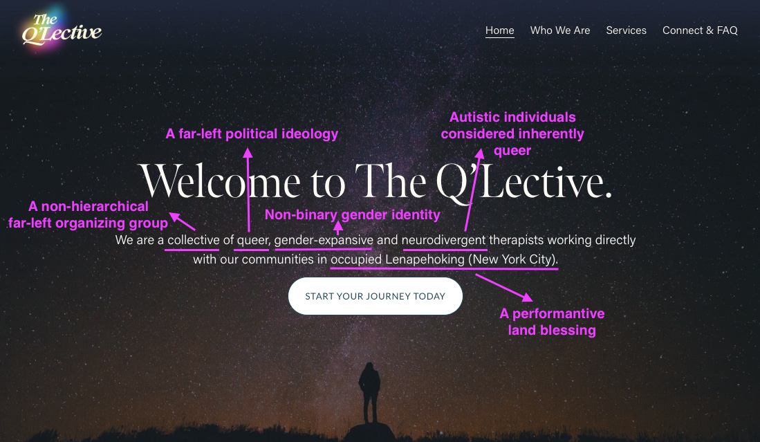 Meet The Queer Therapists: Decoding Far-Left Ideology in Therapy Collectives