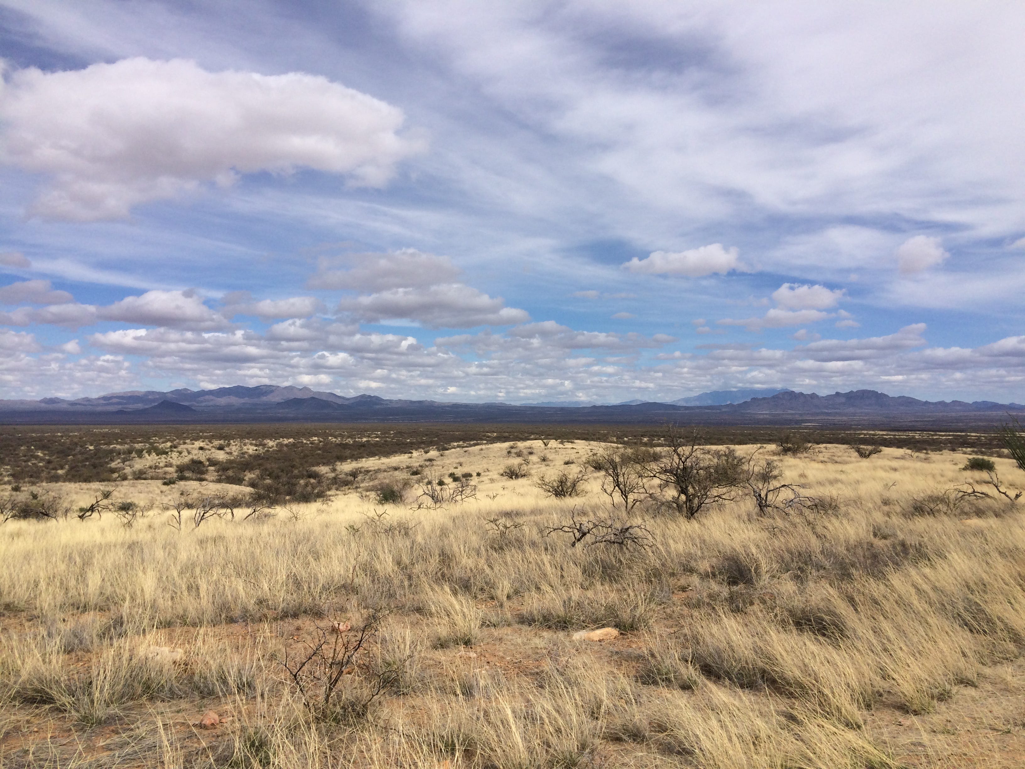 Dan Hoyle | Substack