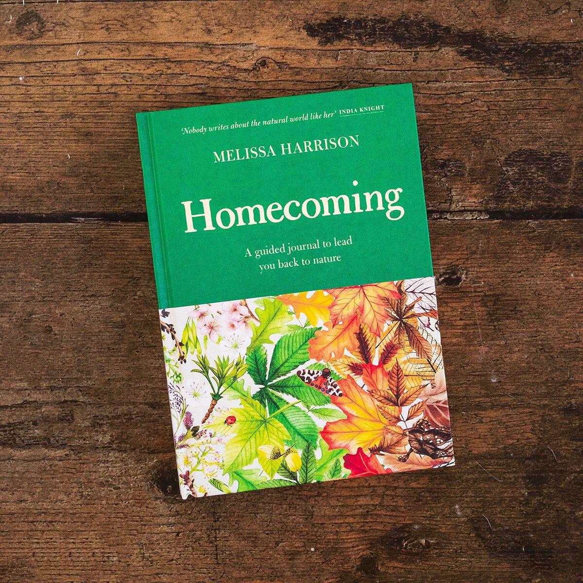 Publication day! - Witness Marks by Melissa Harrison