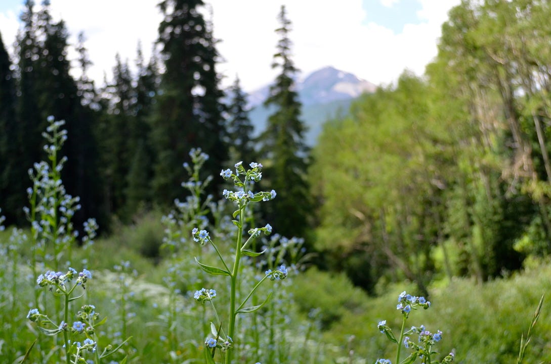 Becoming A Warrior For Love - by Brooks Barron