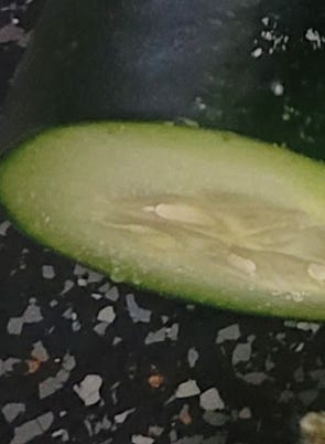 I Got a FAKE "Organic" Cucumber! The Genetically Modified Produce HOAX ...