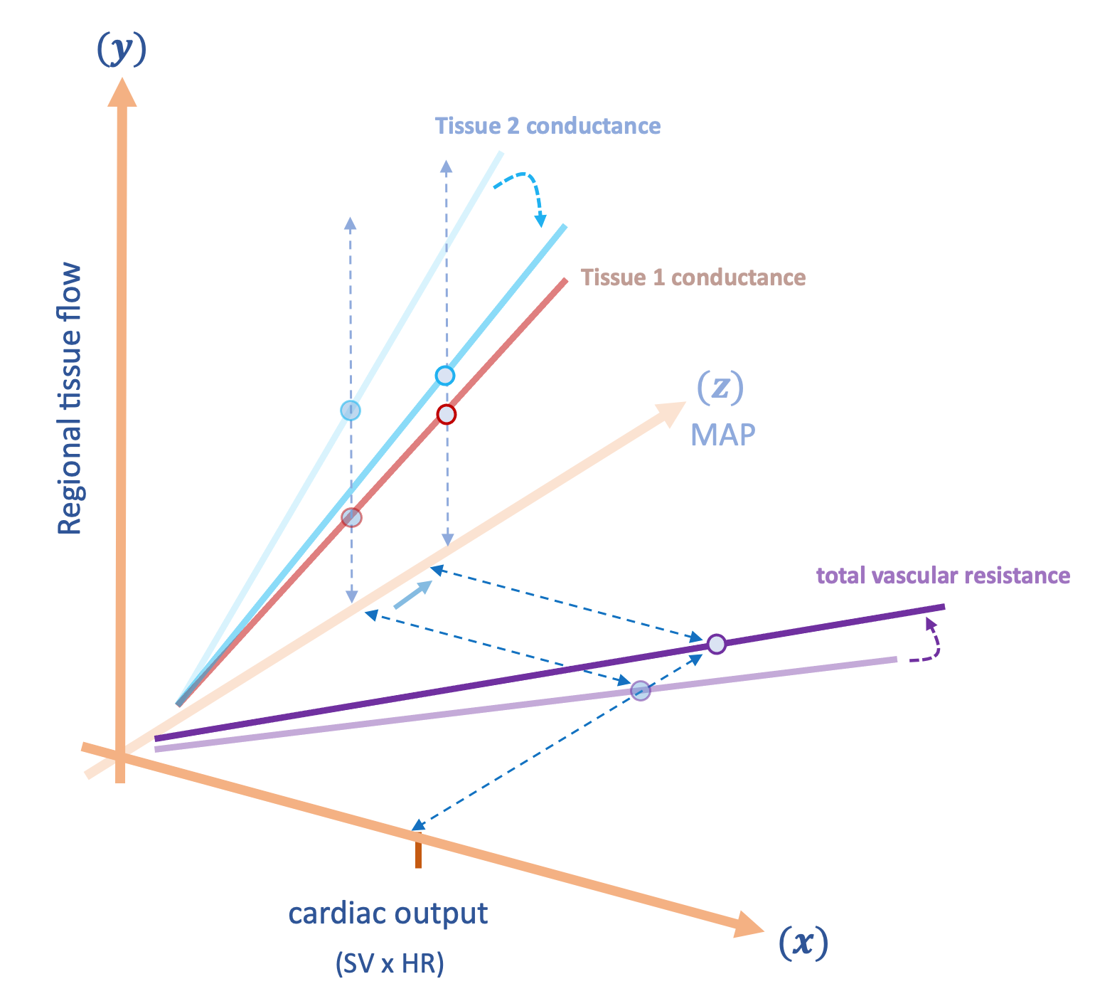 ICU Physiology in 1000 Words: All Perfusion Is Local
