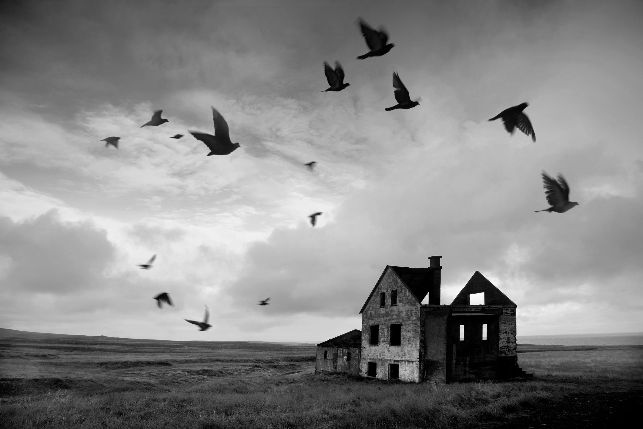 The Audacious Book Club Short Story Contest Winners