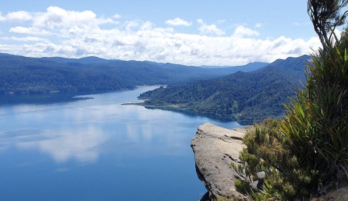 TAIHOA TŪHOE - by John McLean - John’s Substack