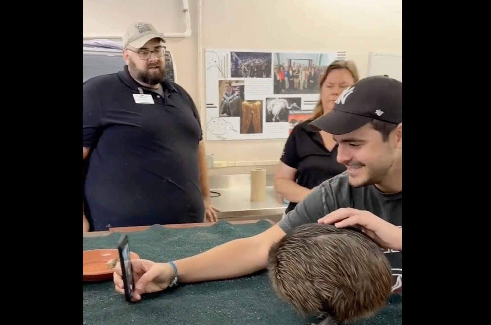 Miami Zoo Says it Will Immediately Stop Deranged Treatment of its Kiwi Bird