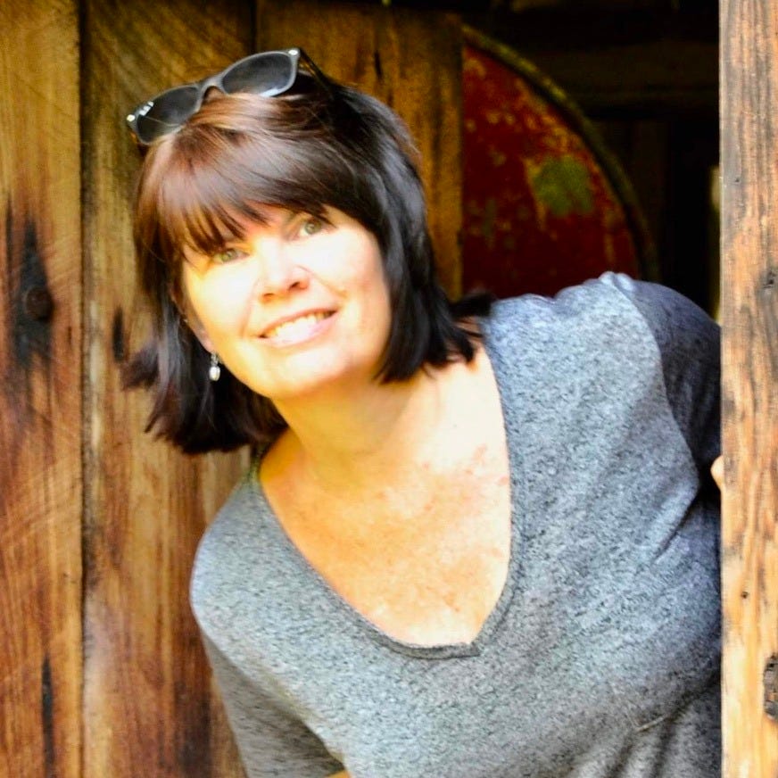 Dianne Dredge | Substack