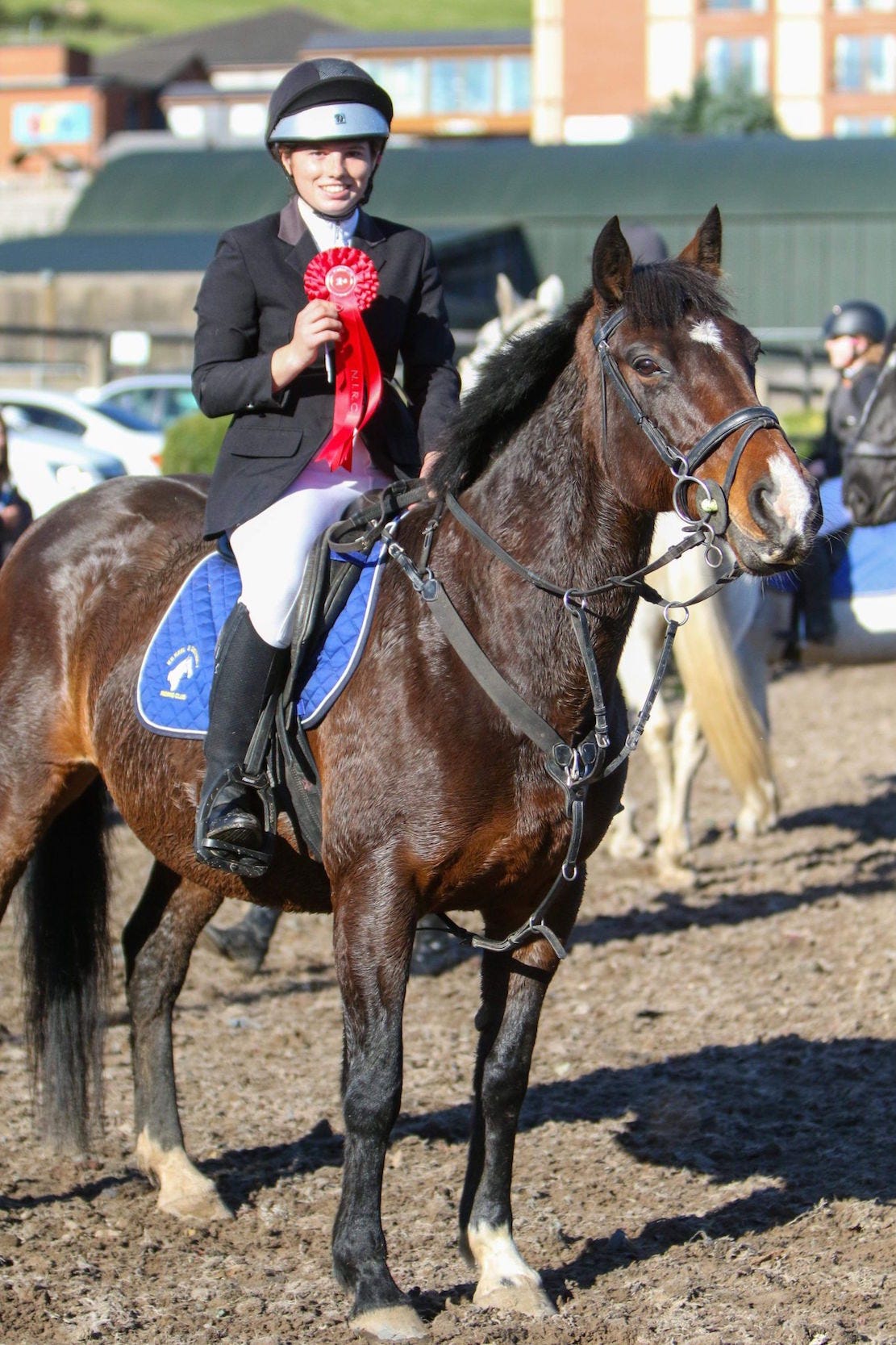 Northern Ireland Riding Clubs’ show jumpers back in action
