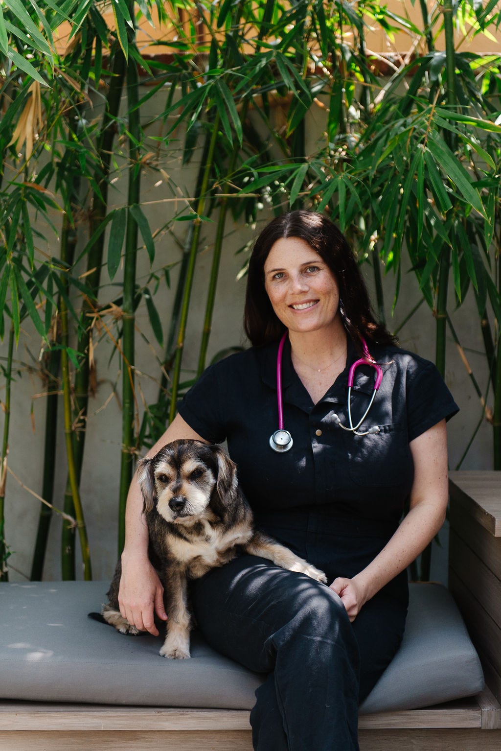 Balanced Pet Vet | Substack