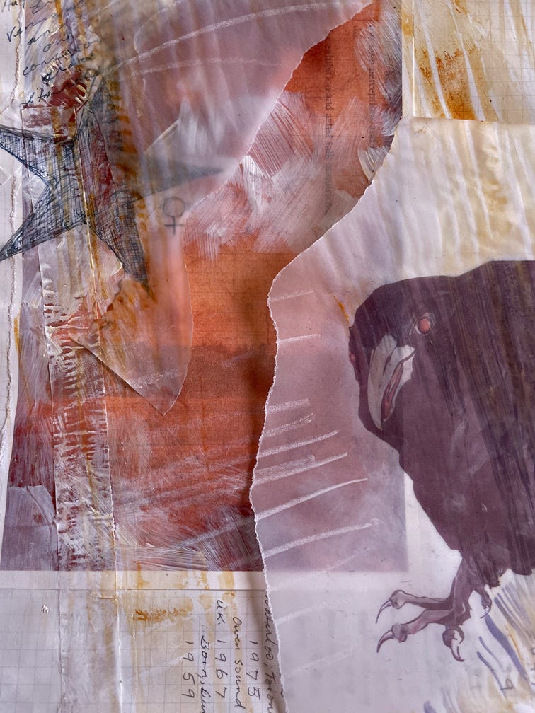 Drawing is a fundamental human language you (may) have forgotten how to ...