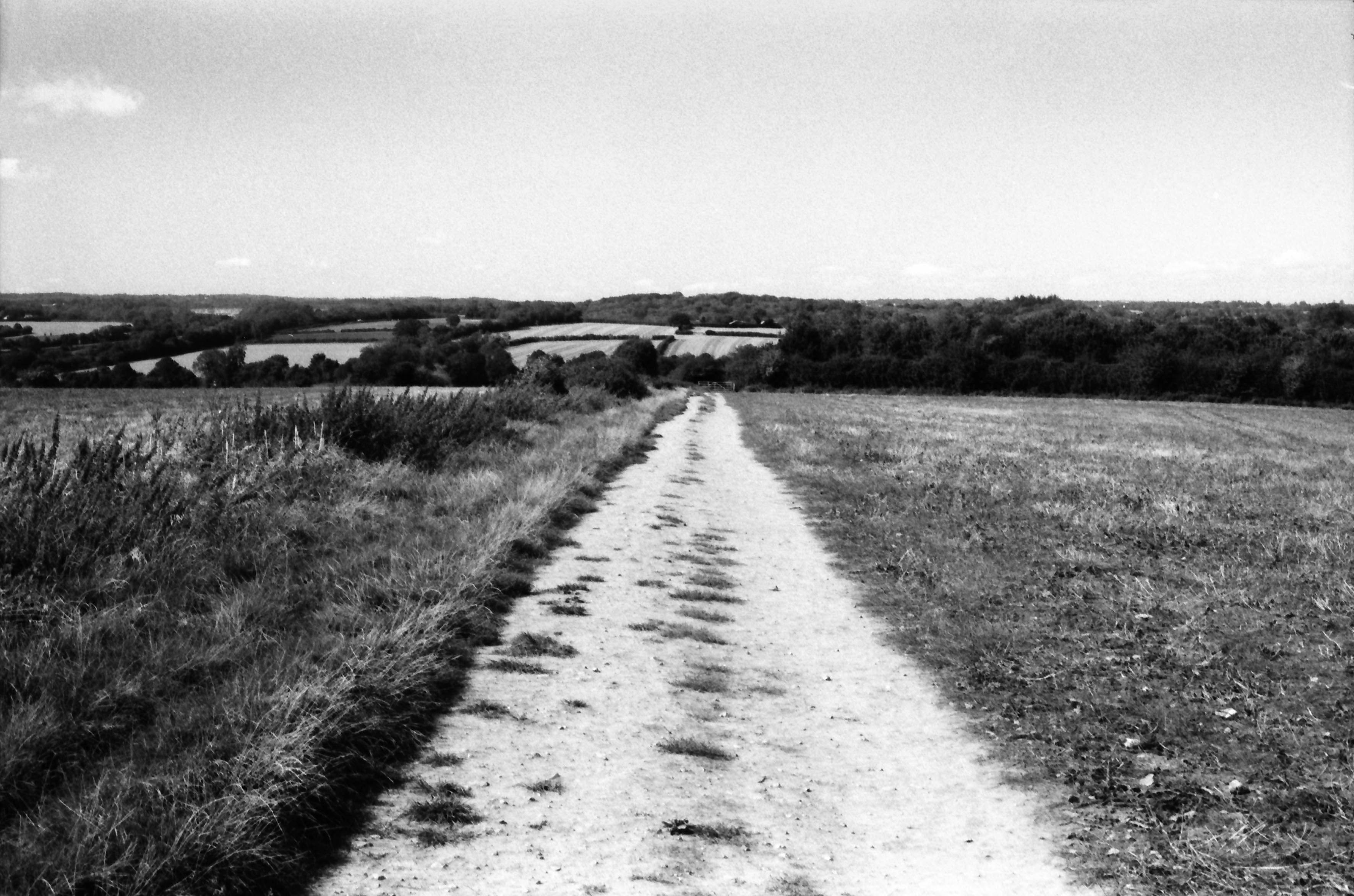 The Path as a Metaphor - by Rosie Sherwood - A NOMADIC ROSE