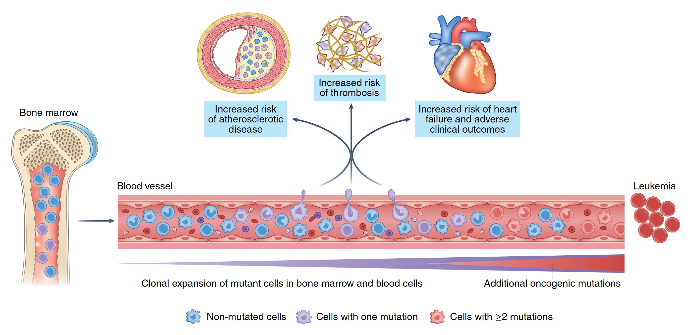 The under-appreciation of CHIP - by Eric Topol