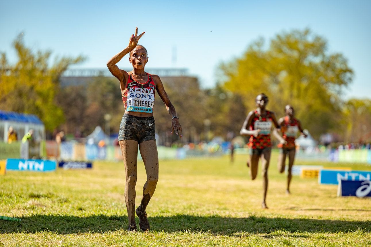 800m Training 101⏱ - The Lap Count