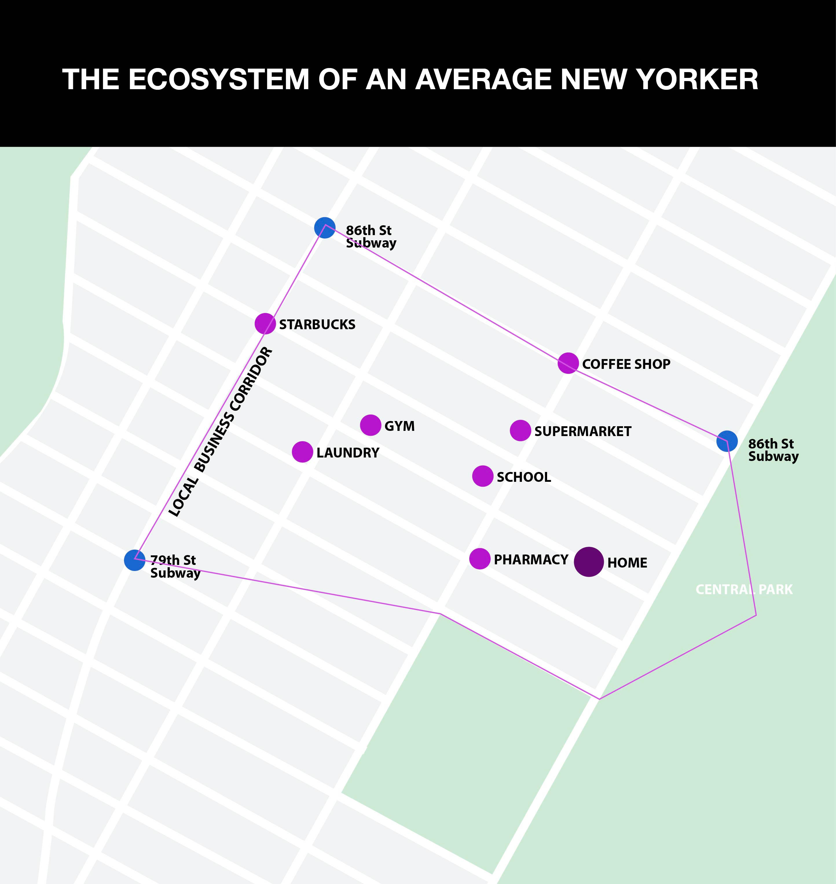 The Ecosystem of Disorder - by Jason Curtis Anderson