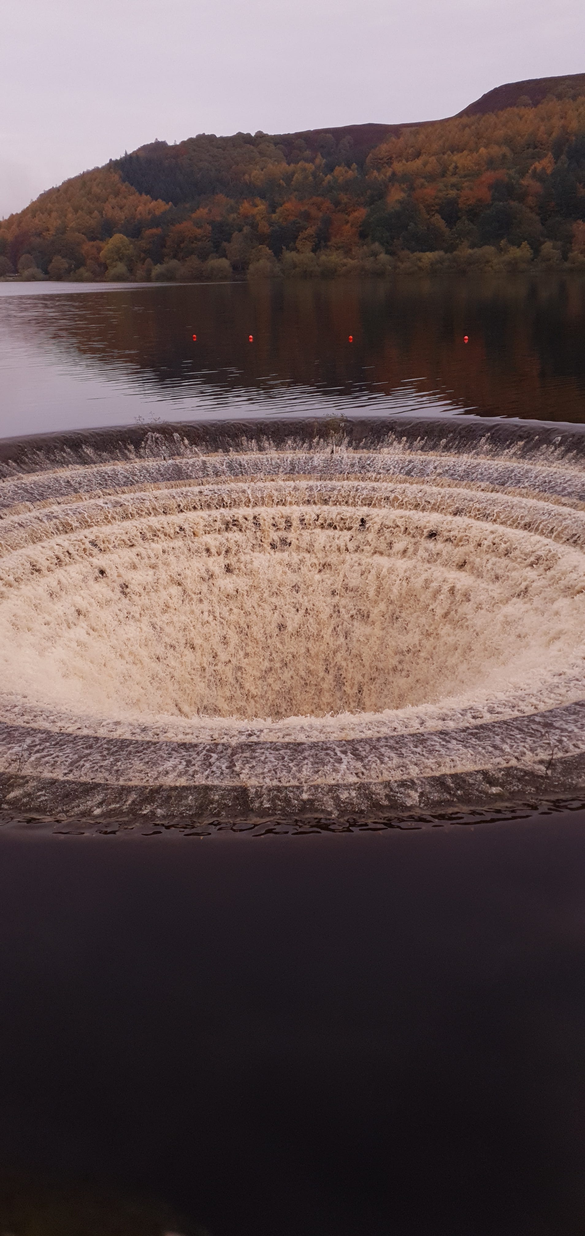 Autumn Woods, A perfect Autumn Day - by Colin Papworth