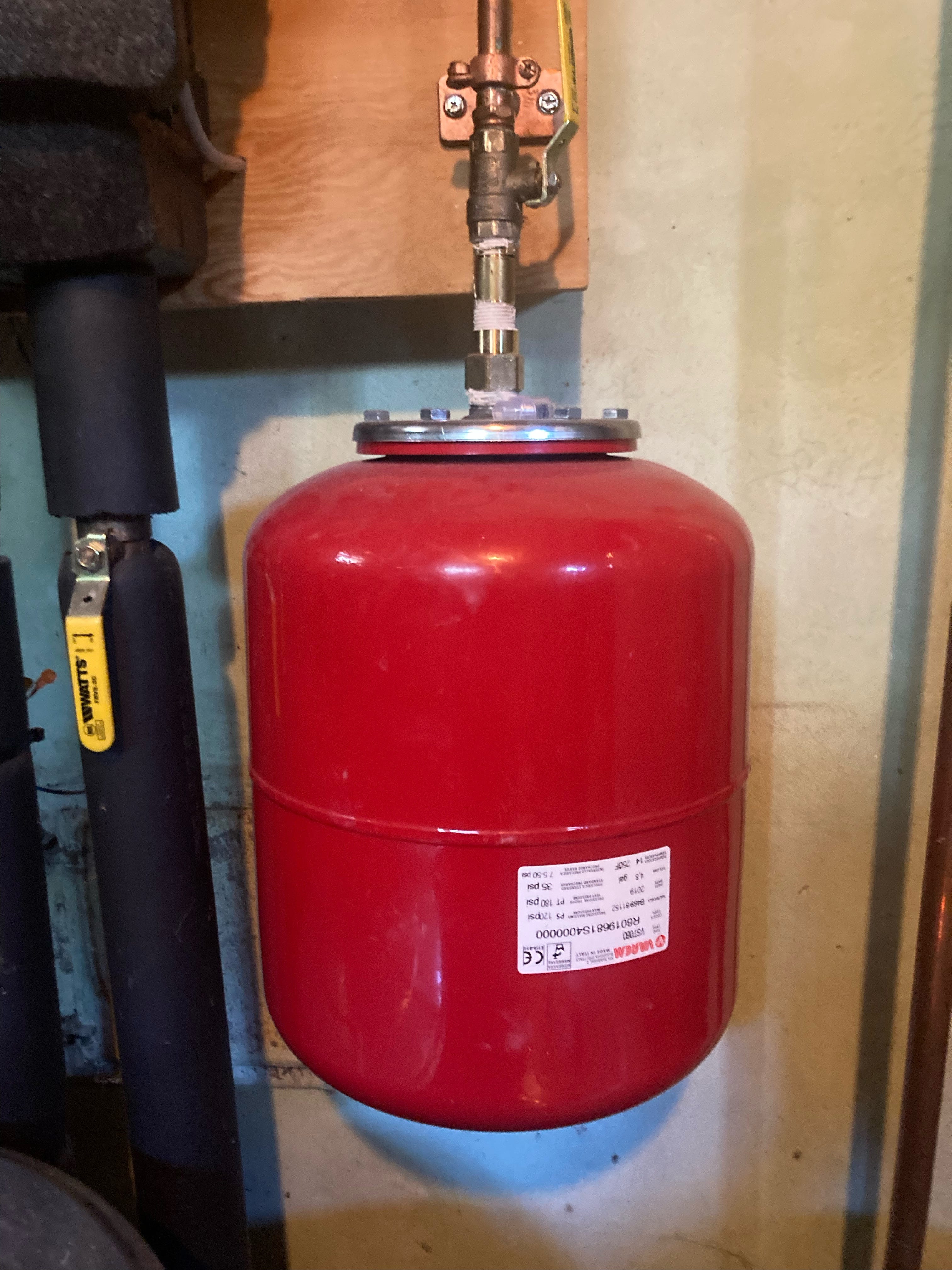 Little grey cells – by Scott Marsland, FNP-C - Dr. Pierre Kory