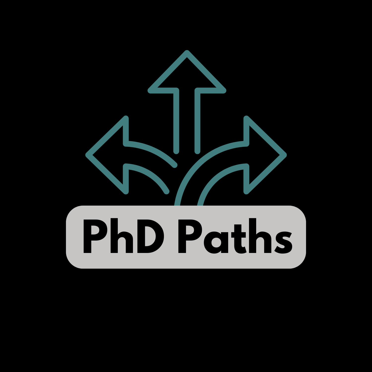 PhD Paths | Substack